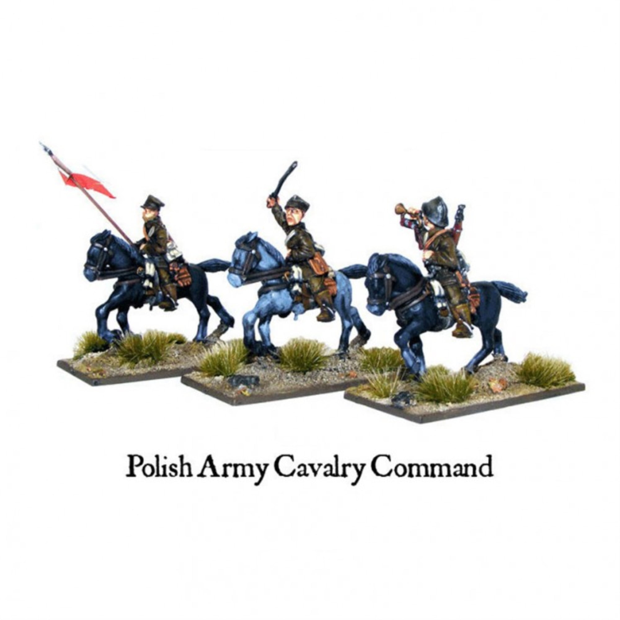 Polish Army Lancer (Cavalry) Command New - Walmart.com