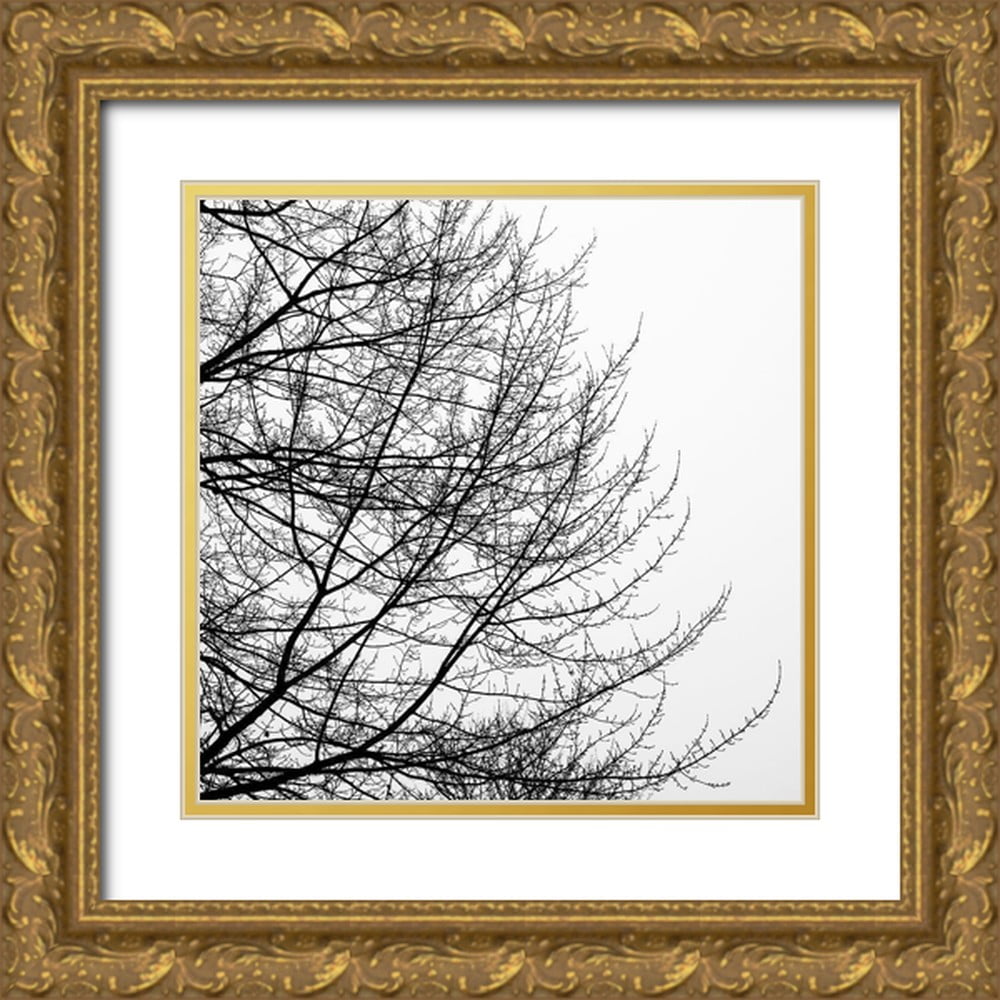 Pollard, David 15x15 Gold Ornate Wood Framed with Double Matting Museum ...