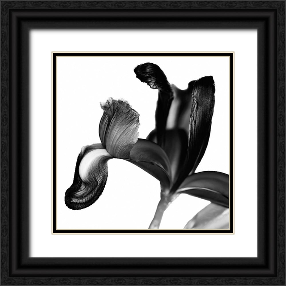 Pollard, David 26x26 Black Ornate Wood Framed with Double Matting ...