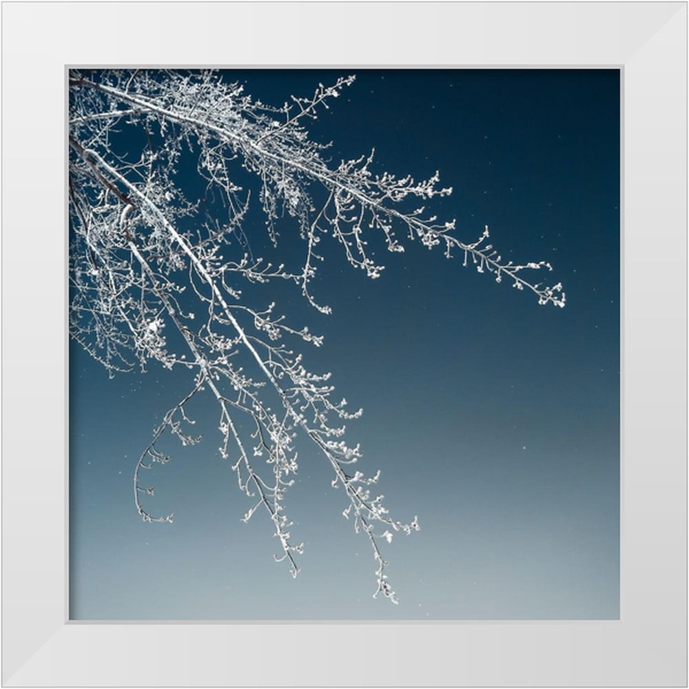 Pollard, David 26x26 White Modern Wood Framed Museum Art Print Titled ...