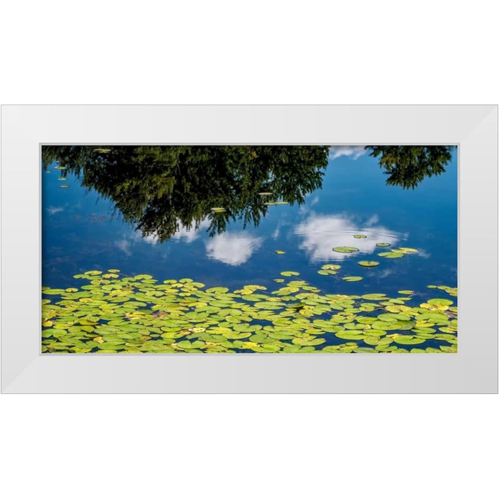 Pollard, David W. 18x11 White Modern Wood Framed Museum Art Print ...