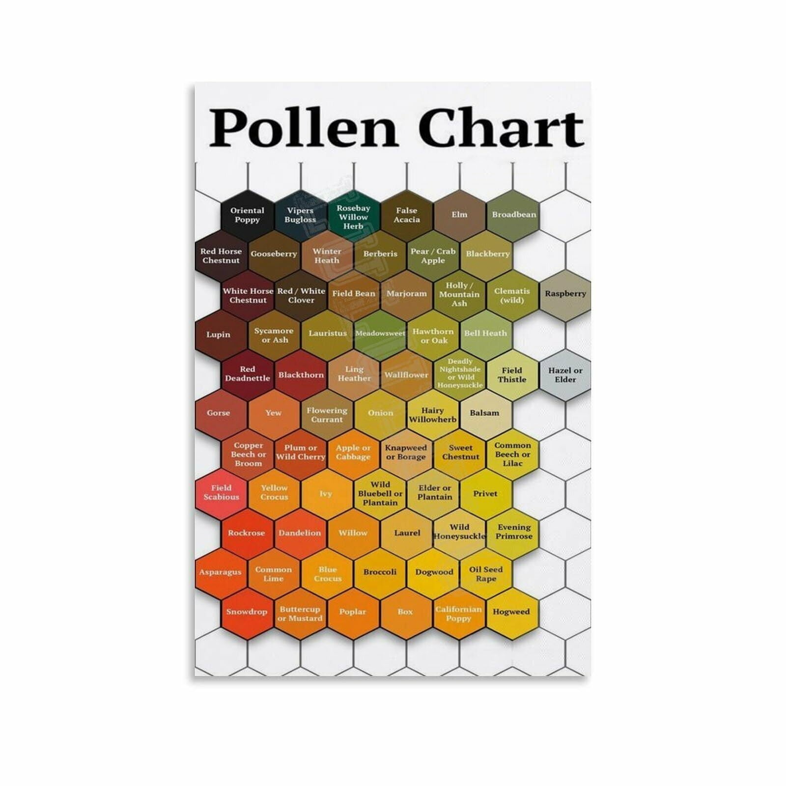 Pollen Chart Knowledge Poster (4) Canvas Painting Posters And Prints ...
