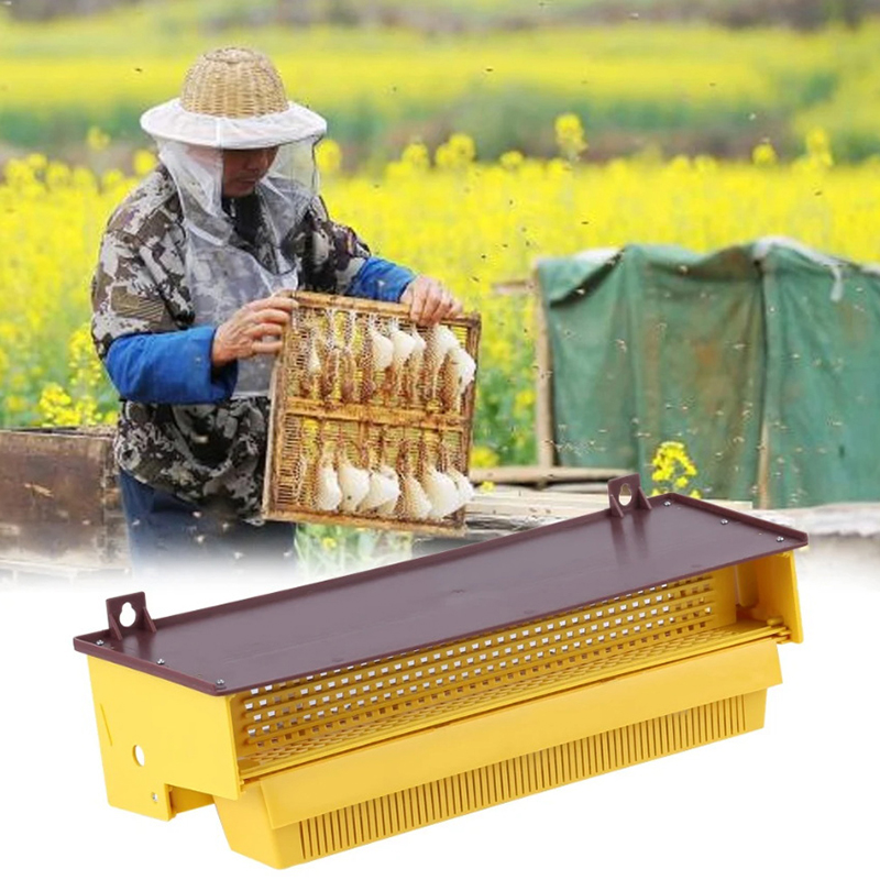 Pollen Collector Collection Box Suitable For Bee Breeding Box Removable ...