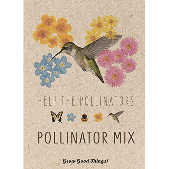 Hummingbird And Butterfly Wildflower Mix