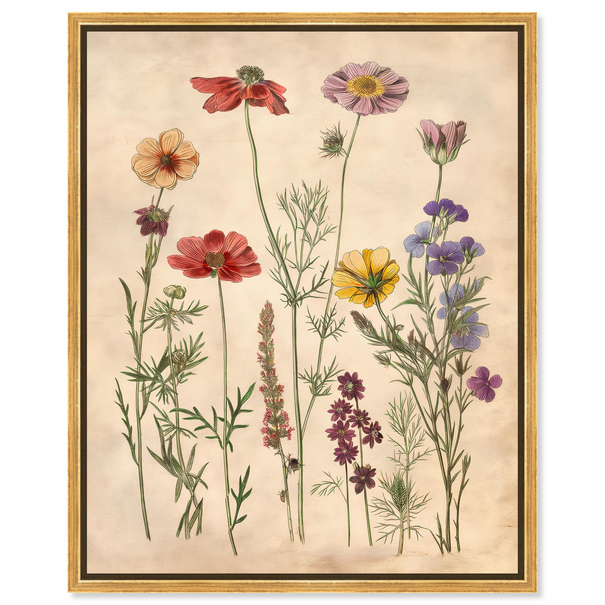 Pollinator Portrait II Canvas Delicate Floral Art by Art Remedy, Gold ...