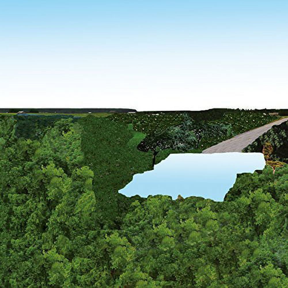 Pollot - Pollot - Rock - Vinyl - Walmart.com