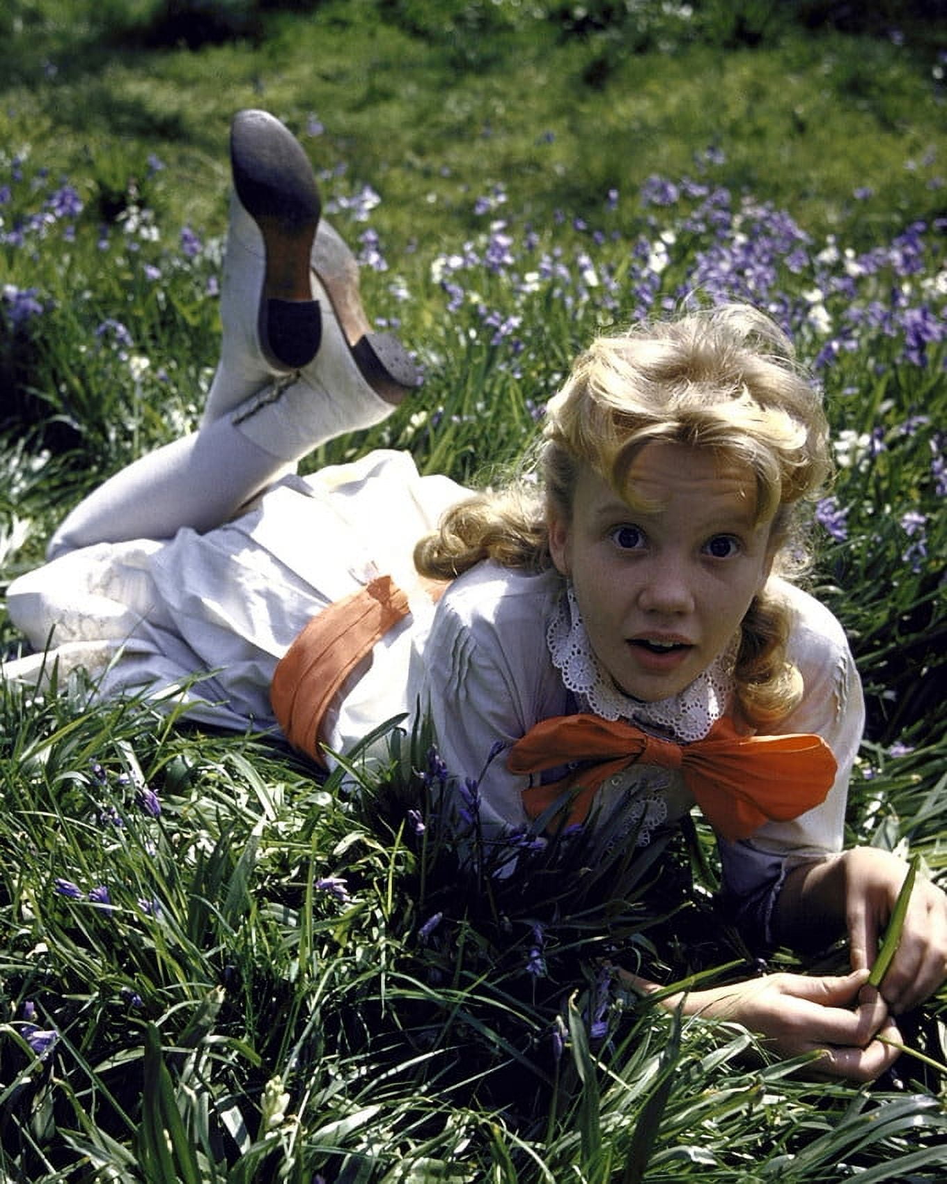 Pollyanna Hayley Mills Posing In Field 24X36 Classic Hollywood Poster ...