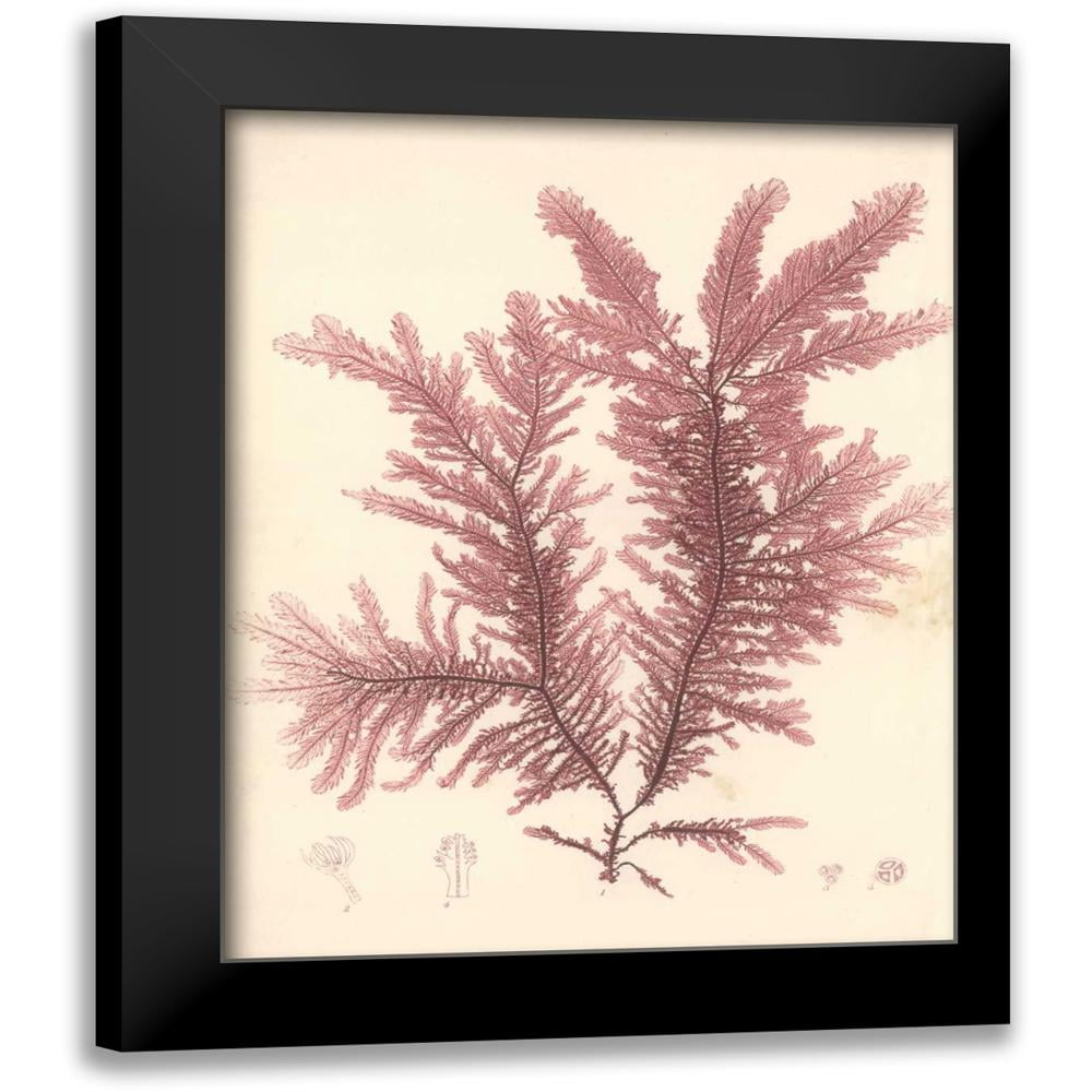 Poloson, Kimberly 12x14 Black Modern Framed Museum Art Print Titled ...