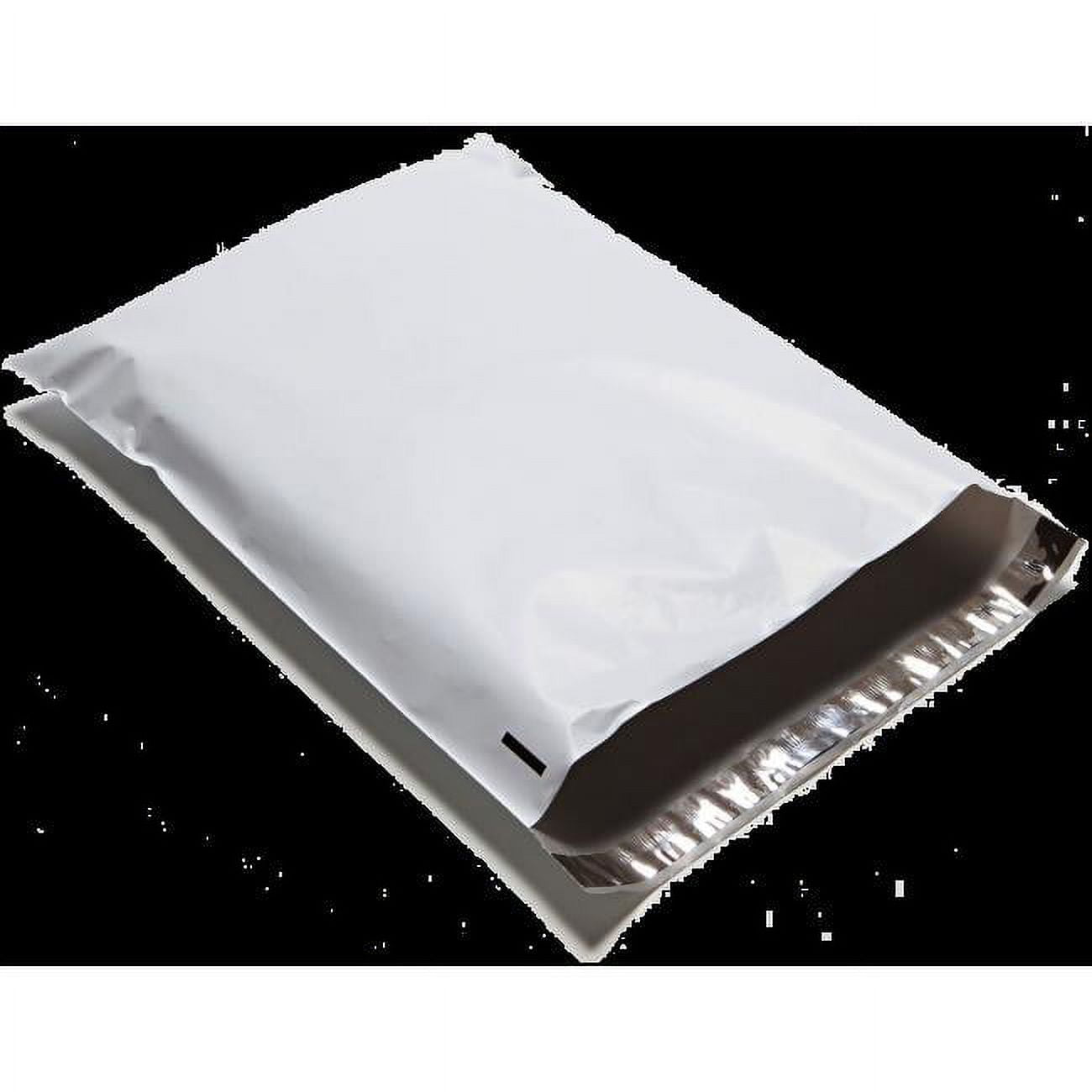 Poly-Pak Industries EO59 100 Ctn Poly Mailer - Extra Large - Walmart.com