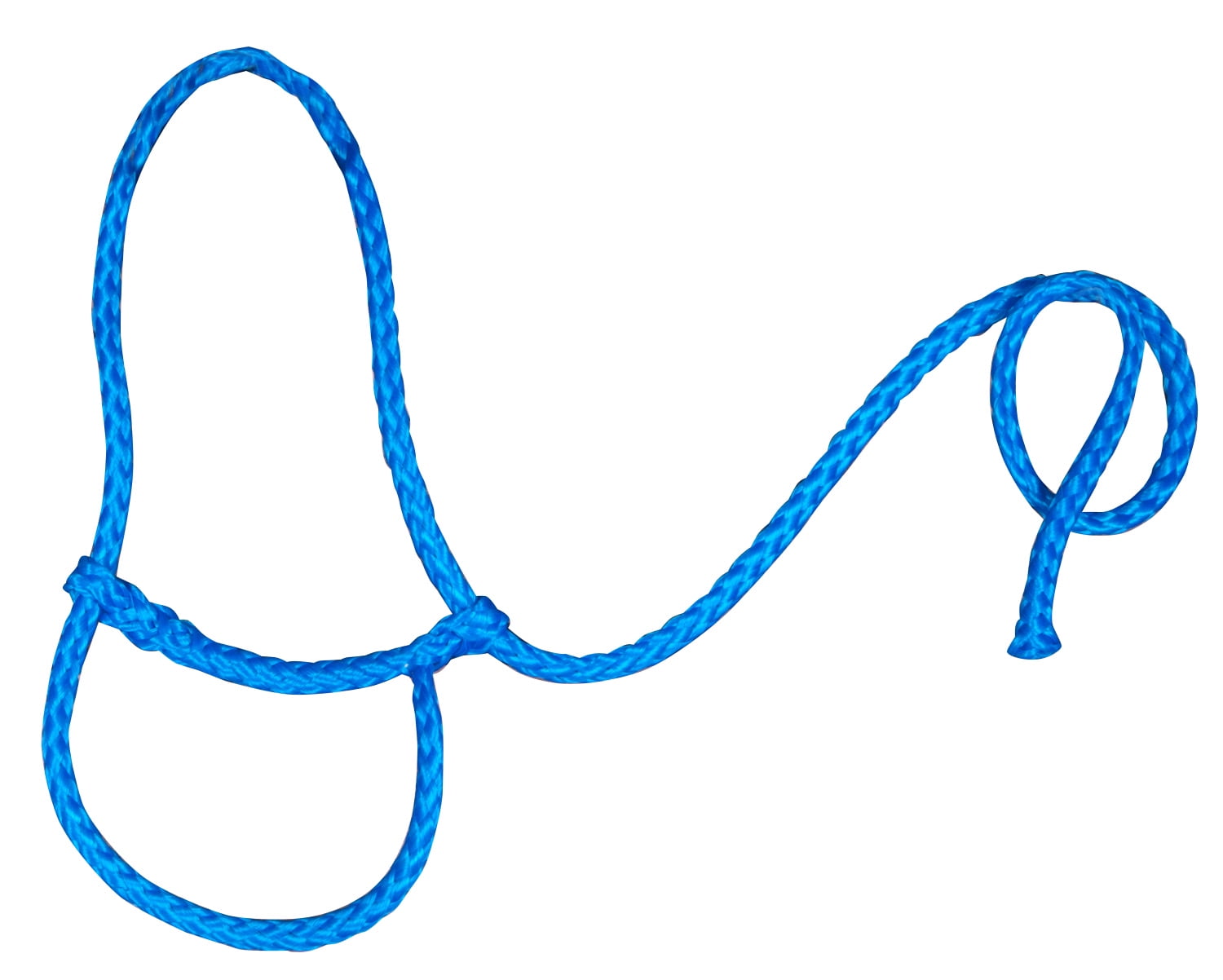 Poly Sheep Halter Color: Royal Blue - Walmart.com