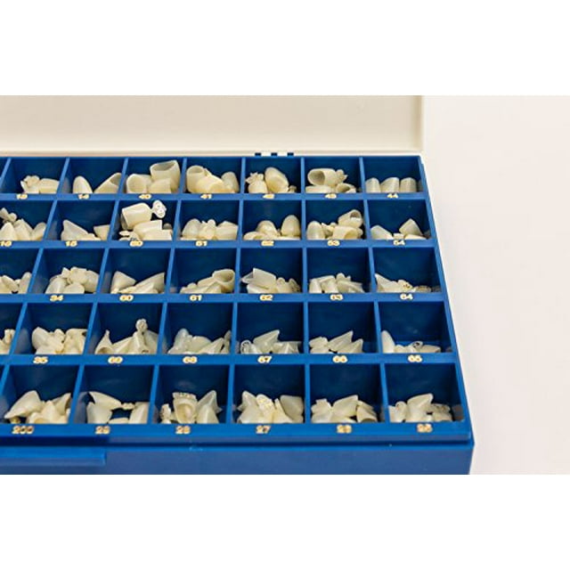Polycarbonate Temporary Dental Crowns Box Kit 180 pcs with Paper Guide ...