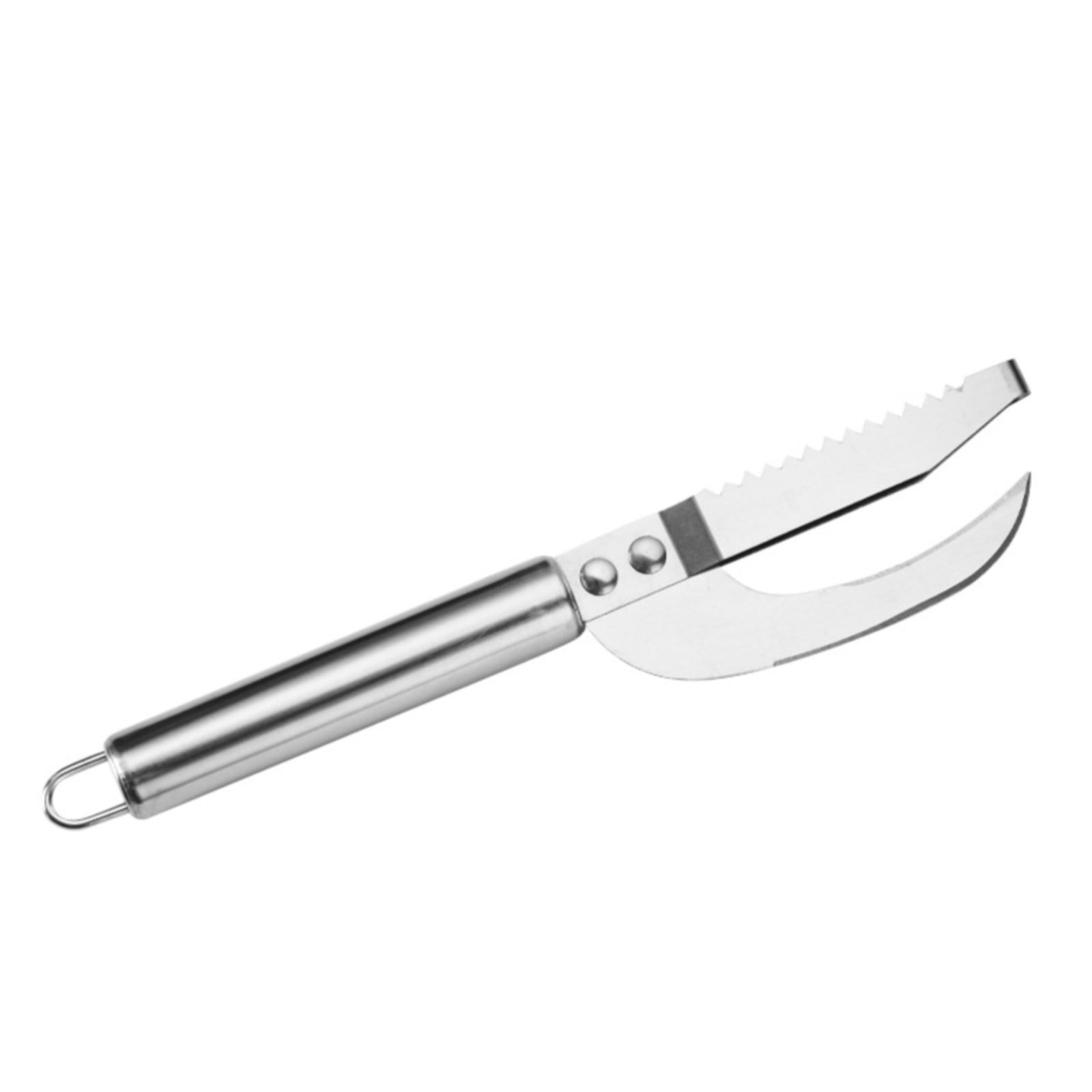 Polychor 2025 Multi-Function Fish Knife - Stainless Steel Tool for ...