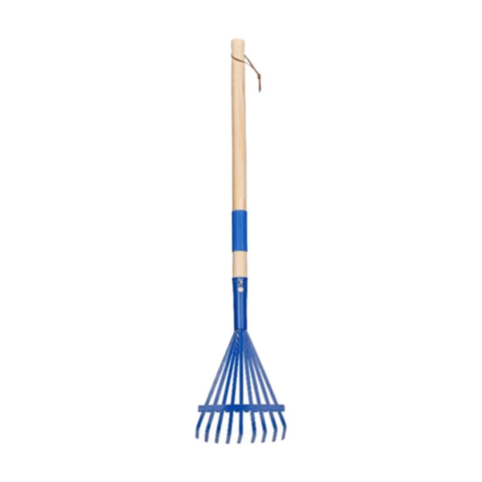 Polychor Kids Garden Tools Leaf Rakes for Children Blue Garden Rakes ...