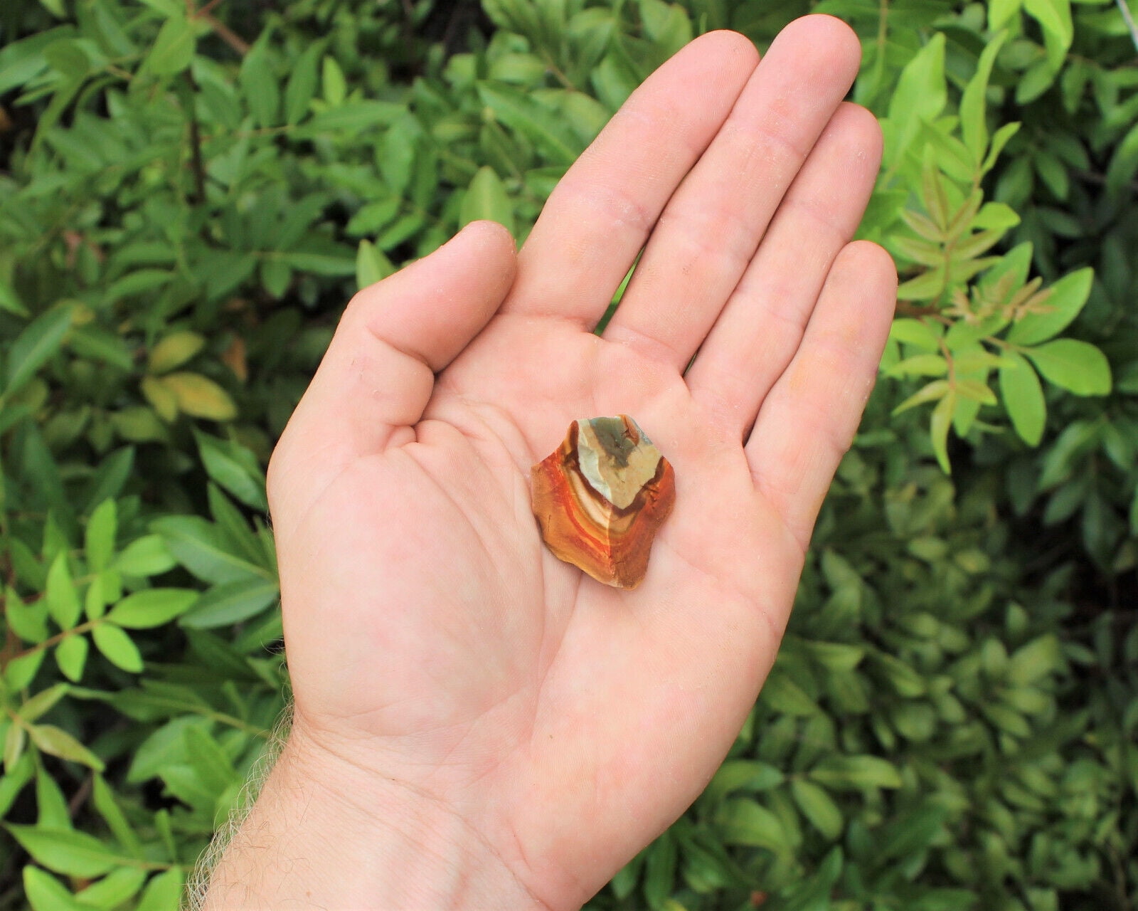 Polychrome Jasper Rough Natural Bulk Lots (Raw Polychrome Jasper ...