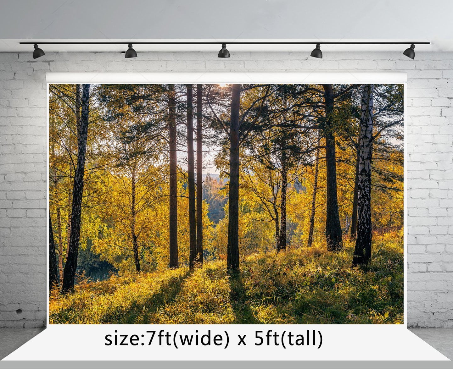 Polyester Fabric 7x5ft Autumn Scenery Photo Backgrounds Forest Leaves ...