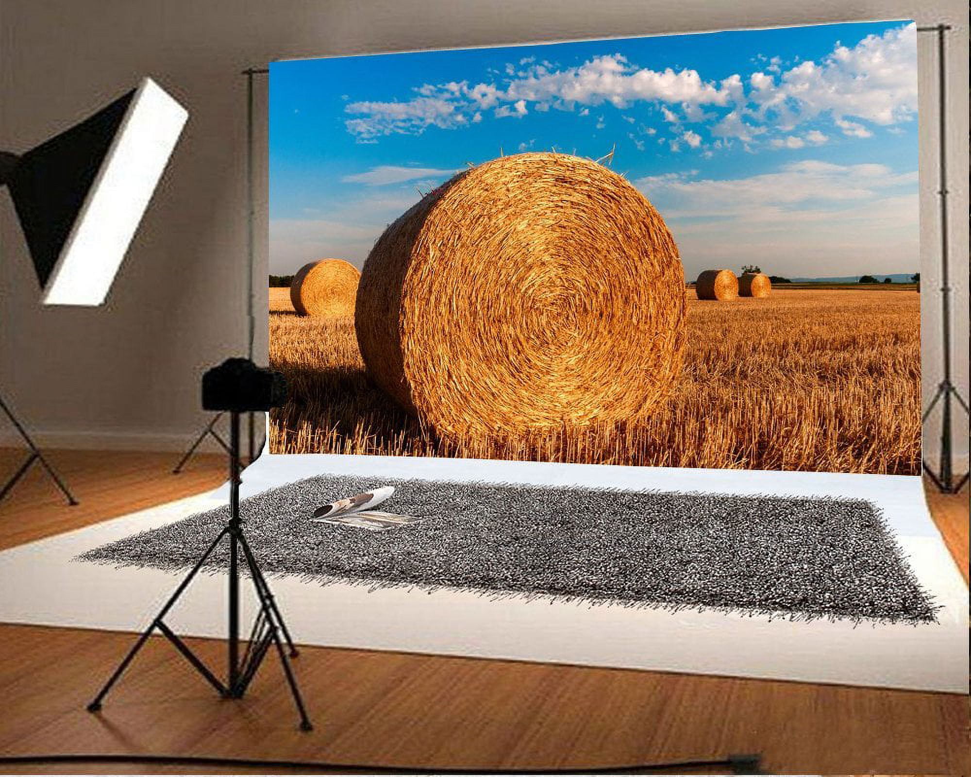 Polyester Fabric 7x5ft Photography Backdrop Rural Landscape Round Straw ...
