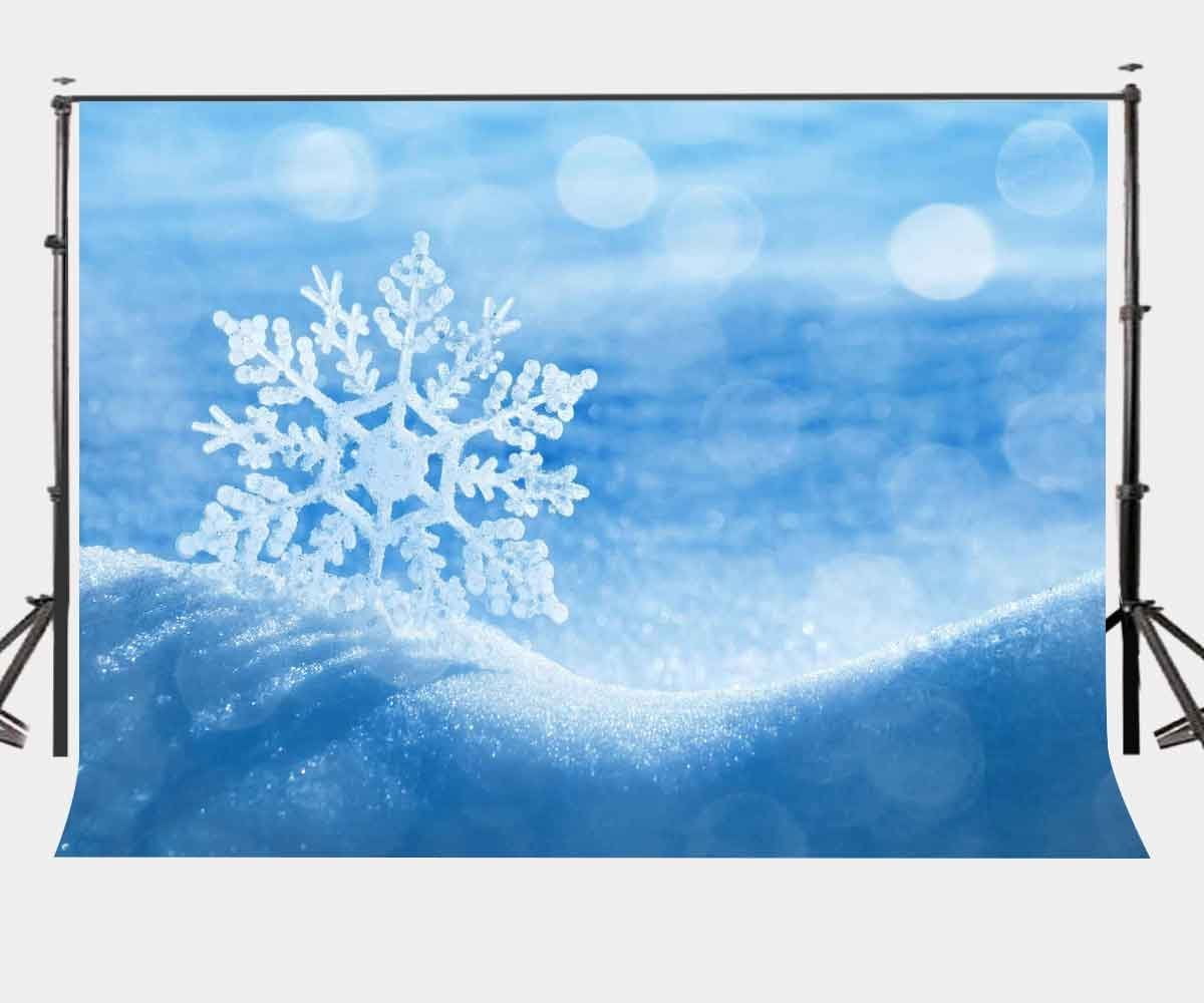 Polyester Fabric 7x5ft White Backdrop White Snow Covering Land ...