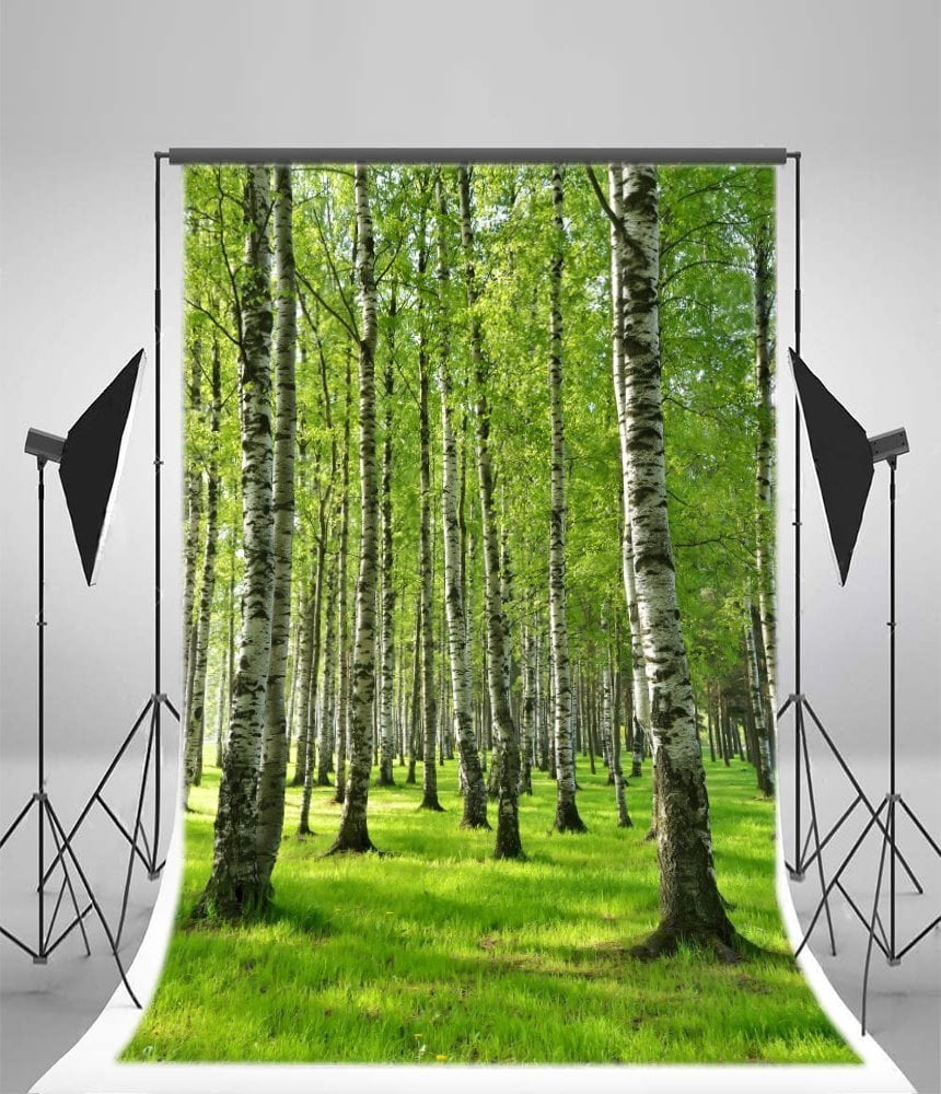 Polyester Fabric Birch Forests Backdrop 5x7ft Photography Backdrop ...