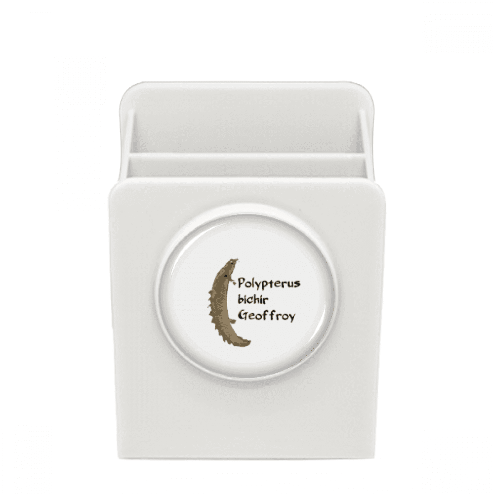 Polyfin Fish Pritive Freshwater Desk Pencil Holder Cup Pen Organizer ...