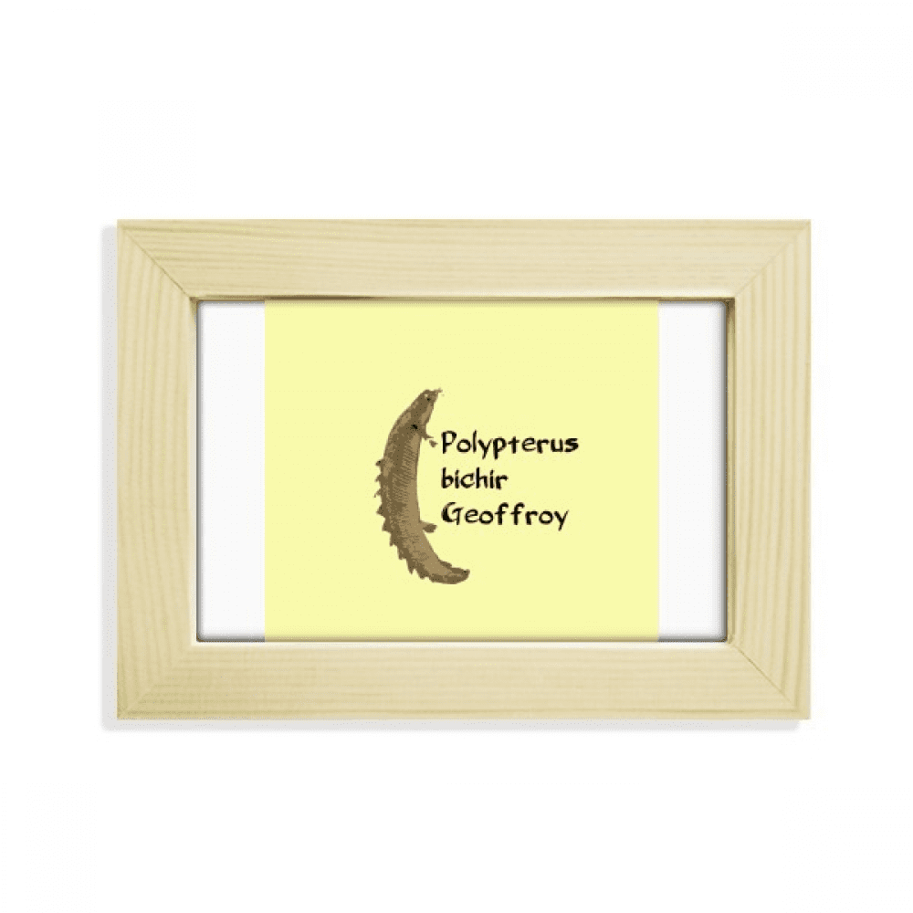 Polyfin Fish Pritive Freshwater Desktop Decorate Photo Frame Picture ...