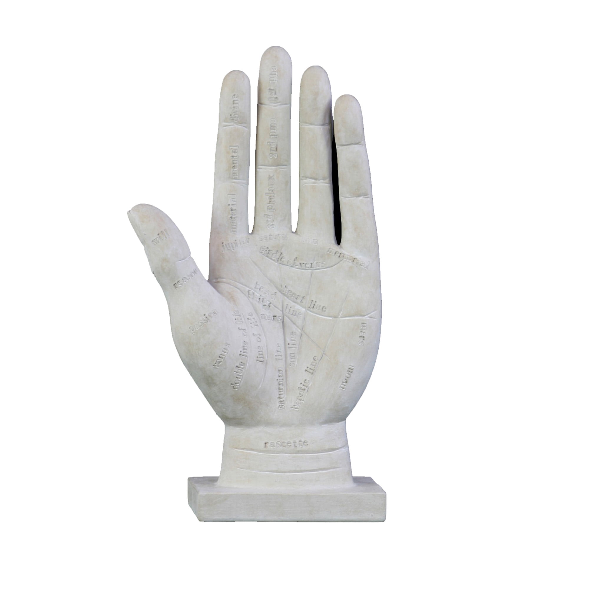 Polyresin Palmistry Hand Sculpture with Engraved Labels, Set of 2 ...