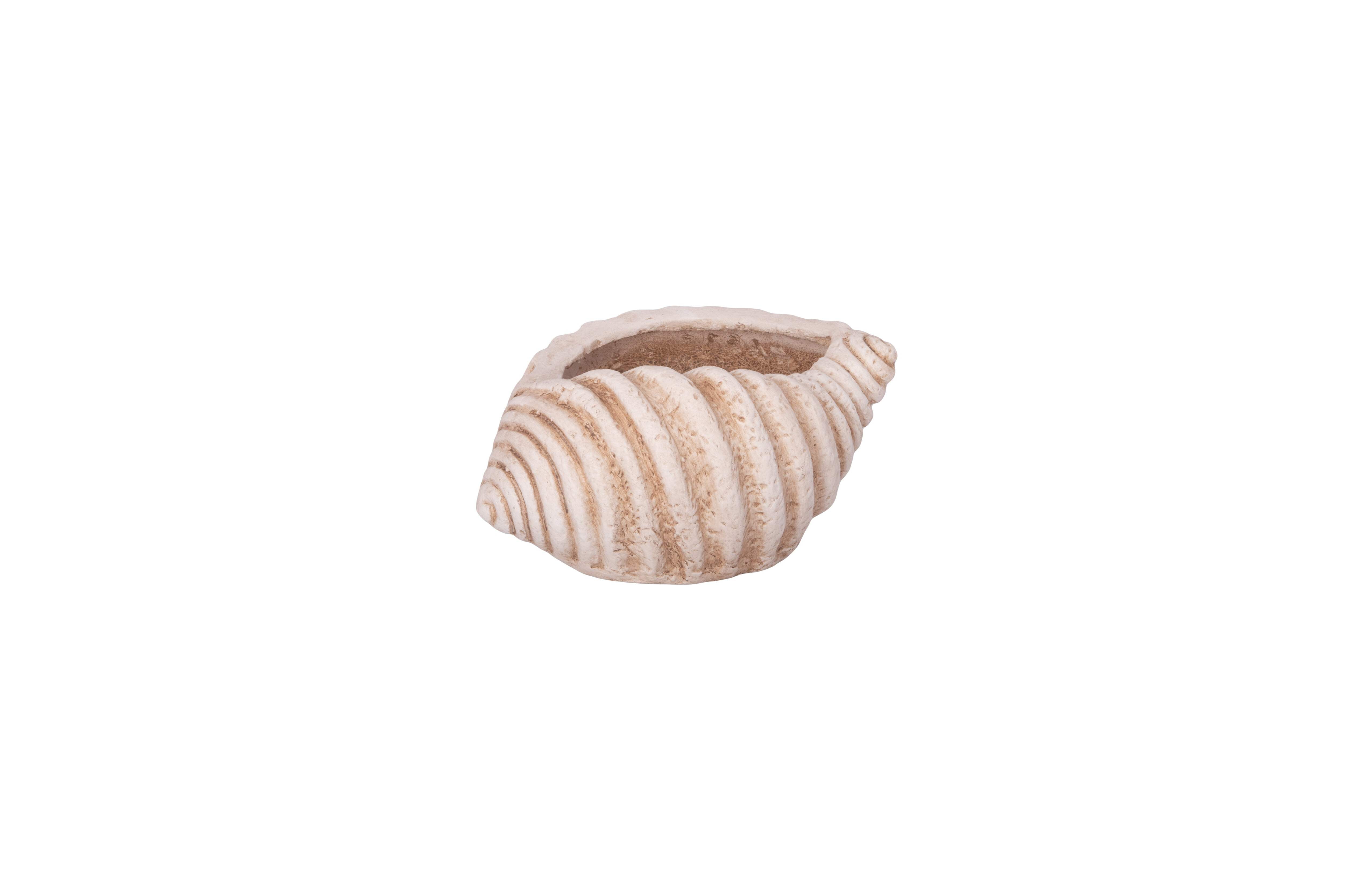 Polyresin Seashell Planter Matte White-6.50"H - Walmart.com