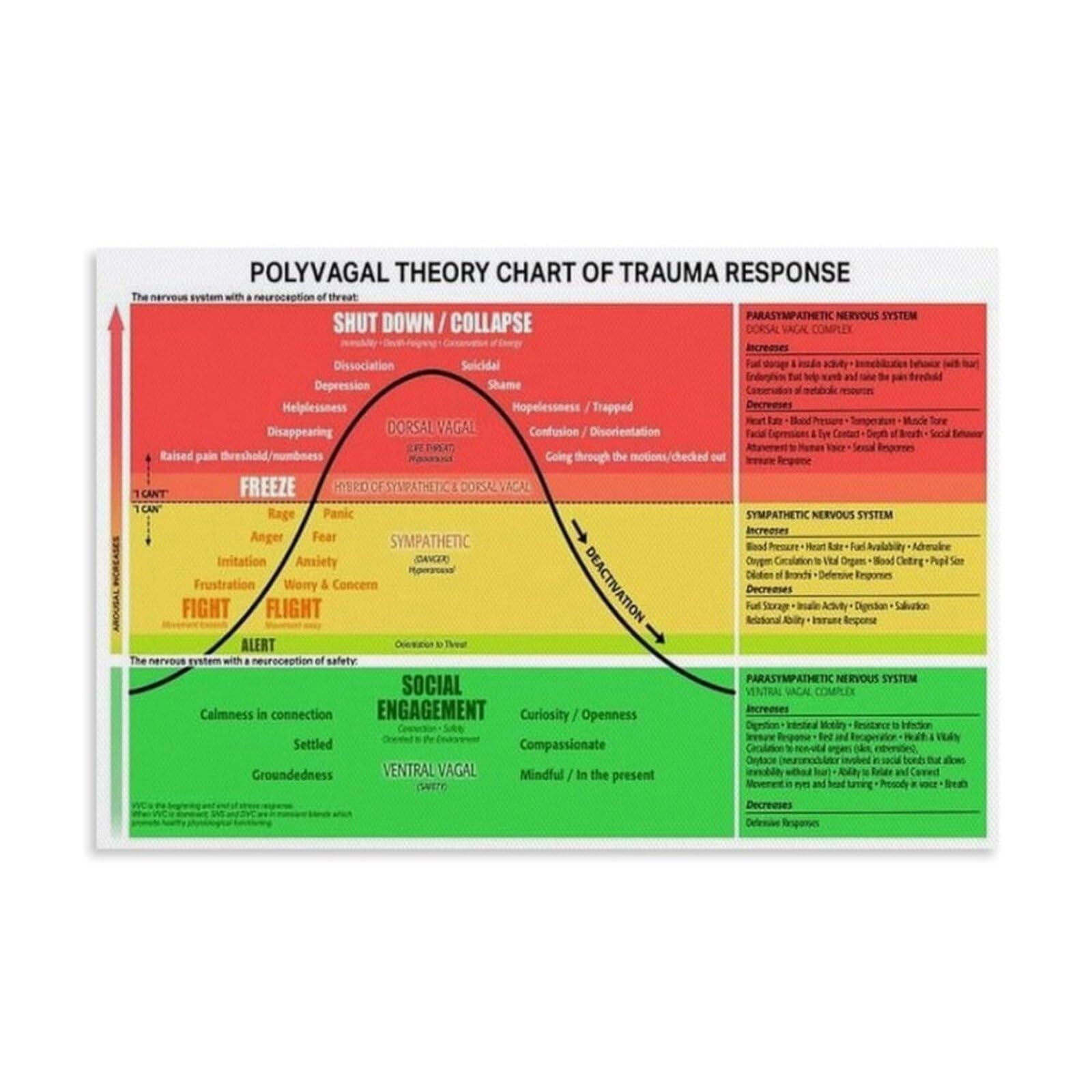 Polyvagal Theory Chart Trauma Response Poster (2) Canvas Print ...