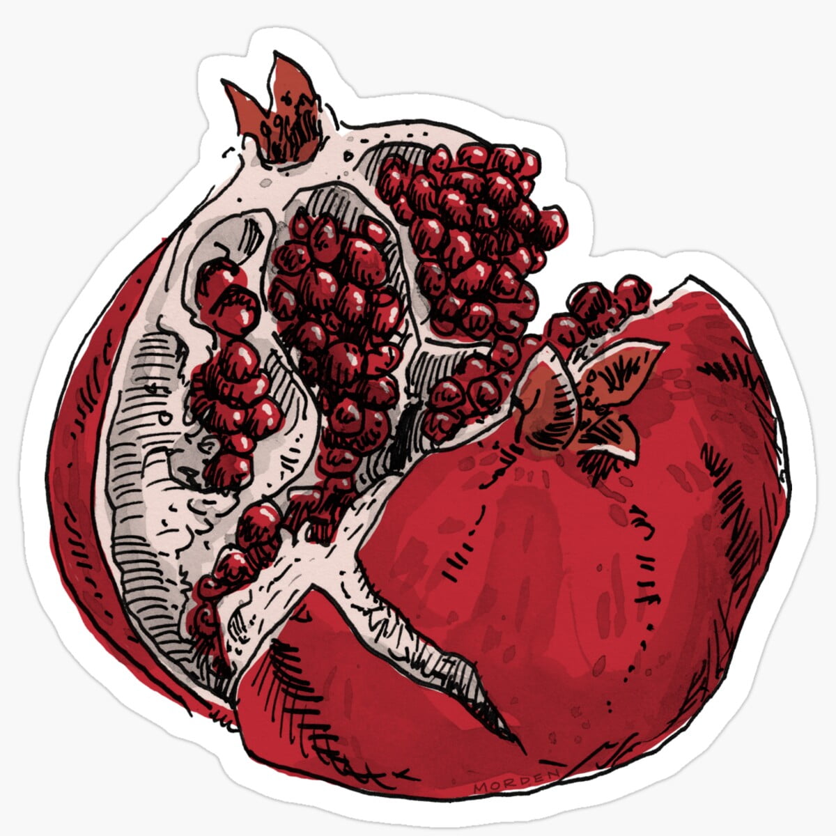 Pomegranate Drawing Sticker. Gift For You - Decorate Laptops, Water ...
