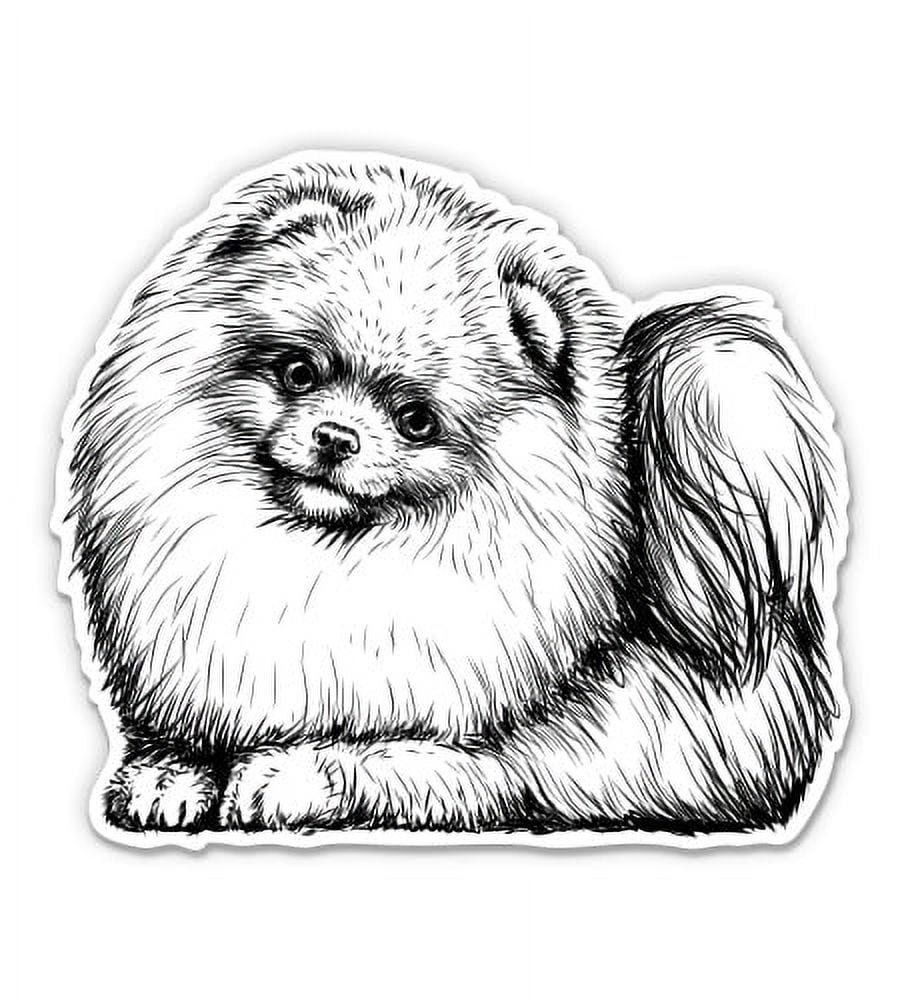 Pomeranian - 7" Vinyl Sticker - For Car Laptop I-Pad - Waterproof Decal ...
