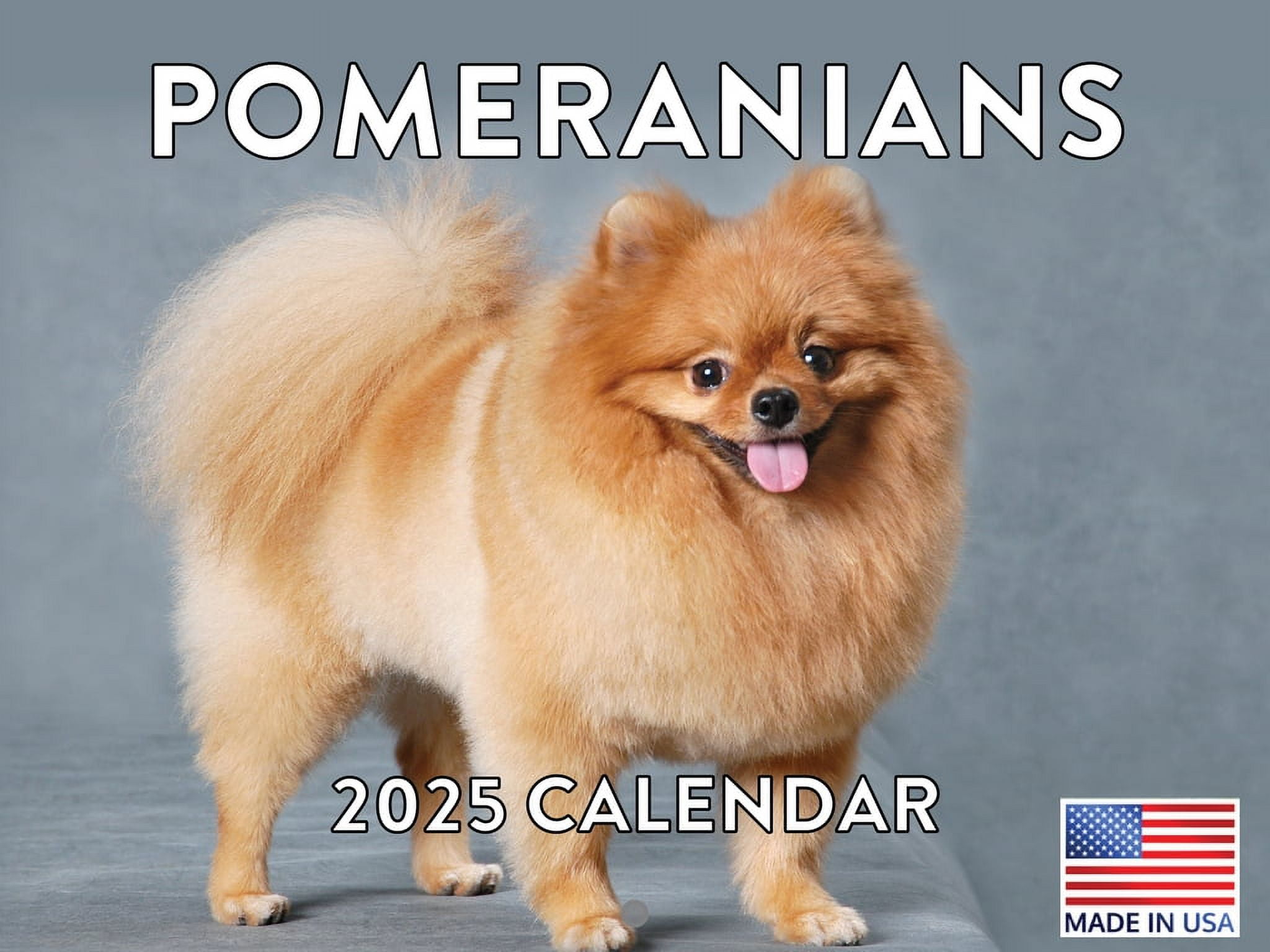 Pomeranian Calendar 2025 Pomerian Gifts Monthly Wall Calender 12 Month ...