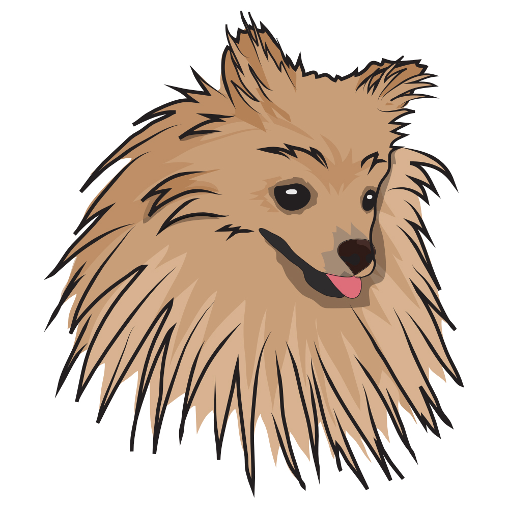 Pomeranian Decal | Indoor/Outdoor | Dog Lover Super Cute Sticker for ...