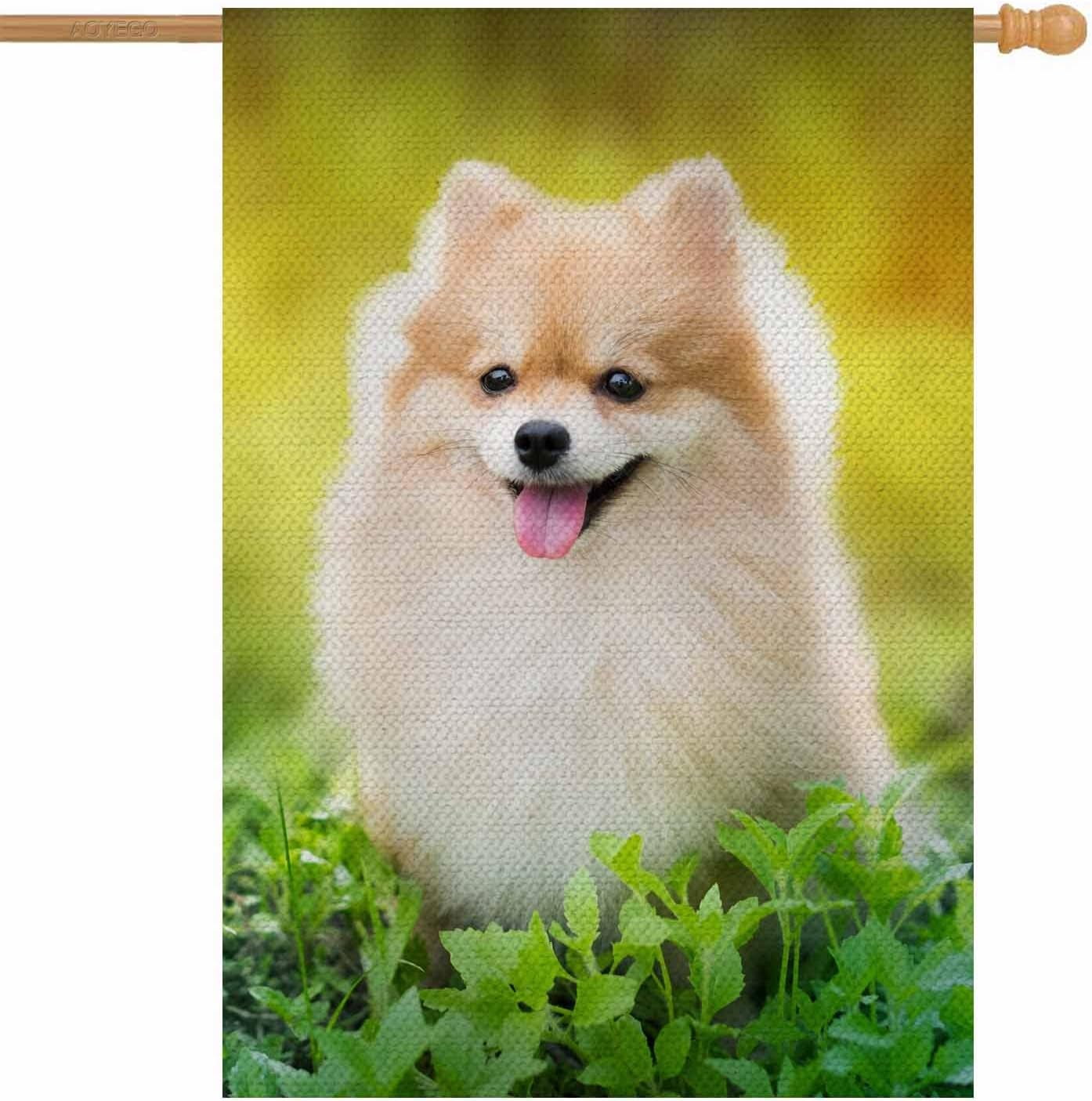 Pomeranian Dog House Flags 28 x 40 Double Sided Burlap Cute Spring Park ...