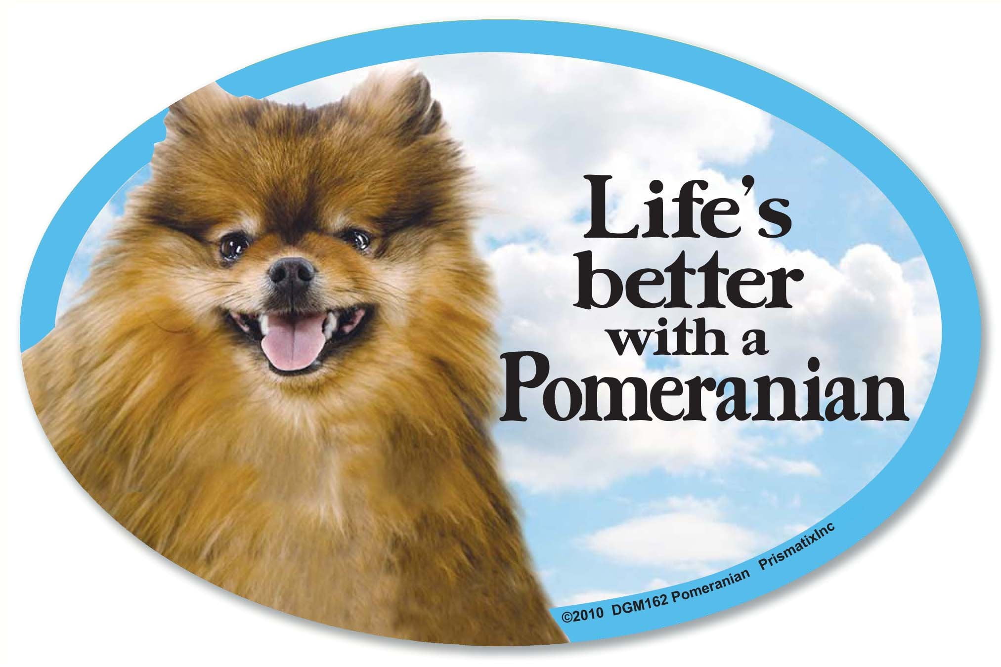 Pomeranian Accessories