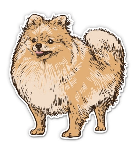 Pomeranian Sketch - 8" Vinyl Sticker - For Car Laptop I-Pad ...