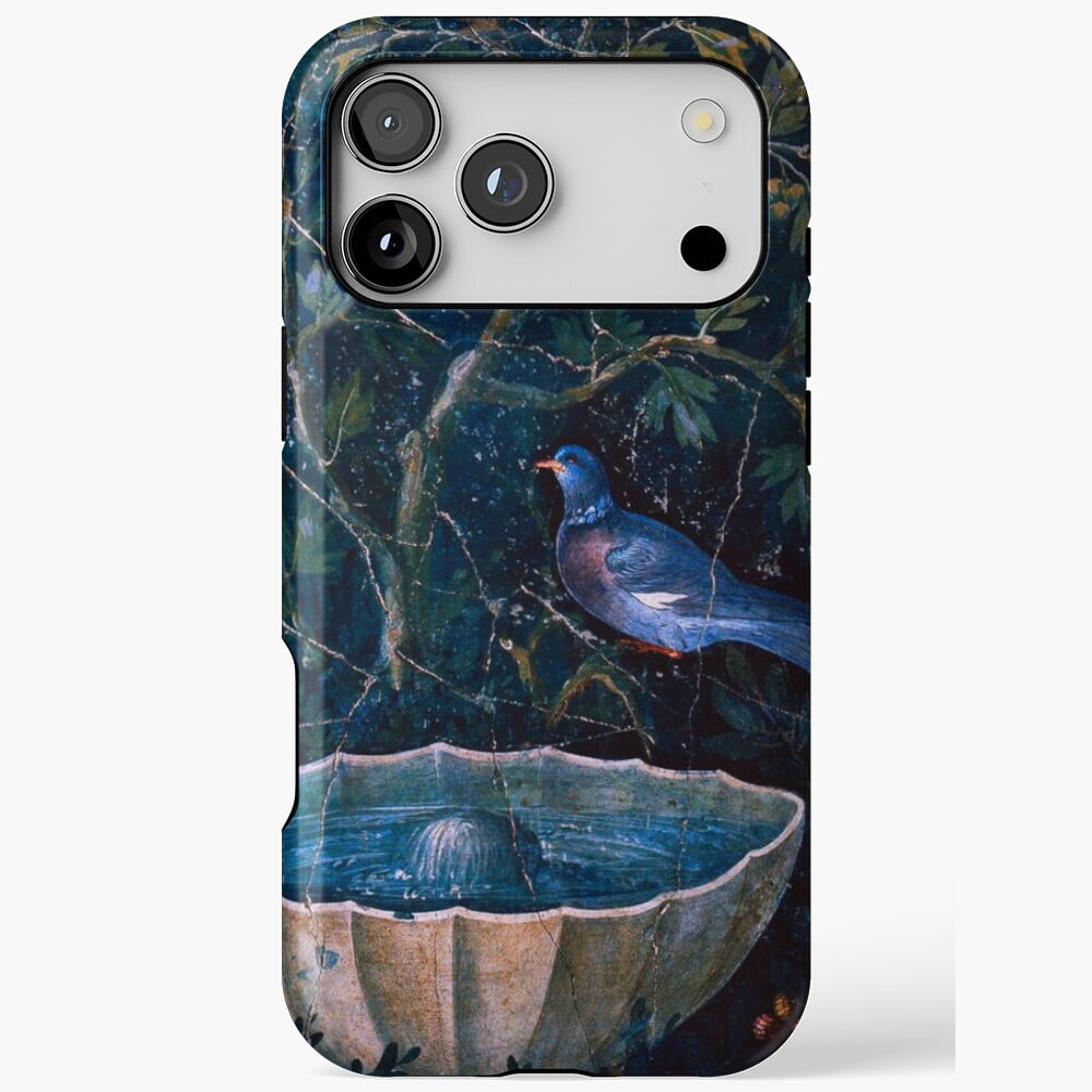 Pompeii Collection Doves Fountain iPhone Case 17 through 11 Pro Max ...