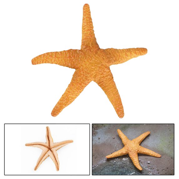 Pompotops Clearance Sales Realistic Sea Animals Solid Simulation ...