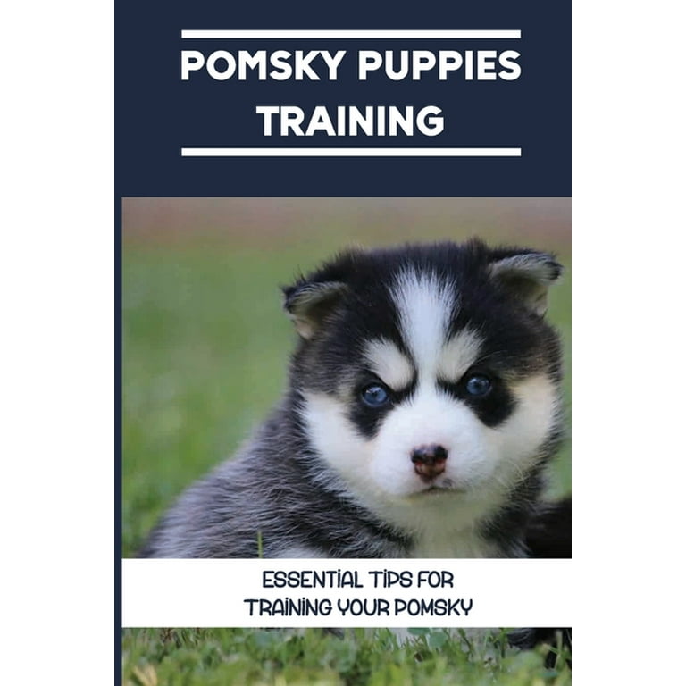 How Big Do Pomsky Puppies Get