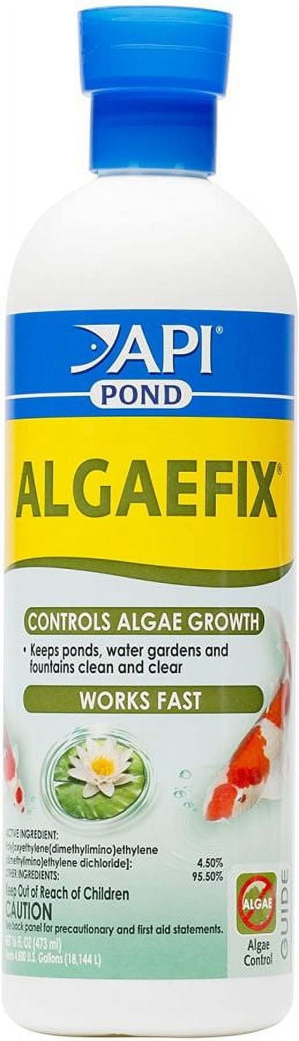PondCare AlgaeFix Algae Control for Ponds [Pond, Algicides & Algae ...