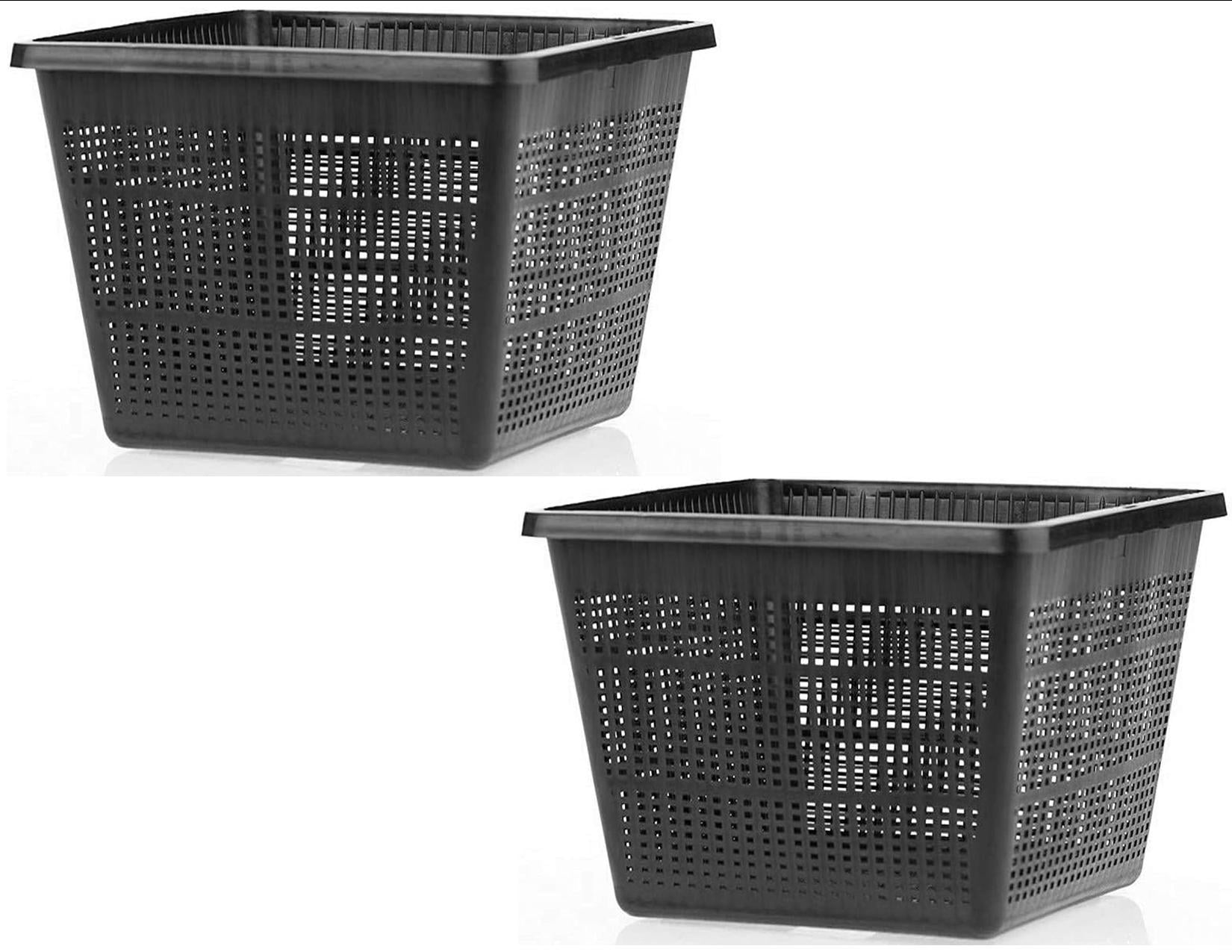 Pond H2o 9 Inch High by 6 Inches Deep (23cm x 16cm) Square Plant ...