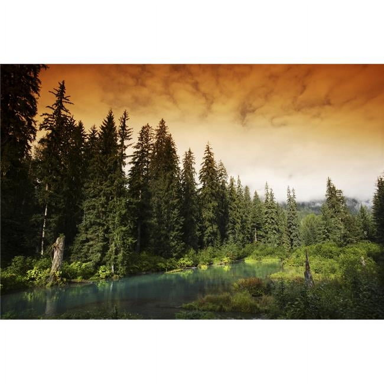 Pond In A Forest Poster Print - Walmart.com