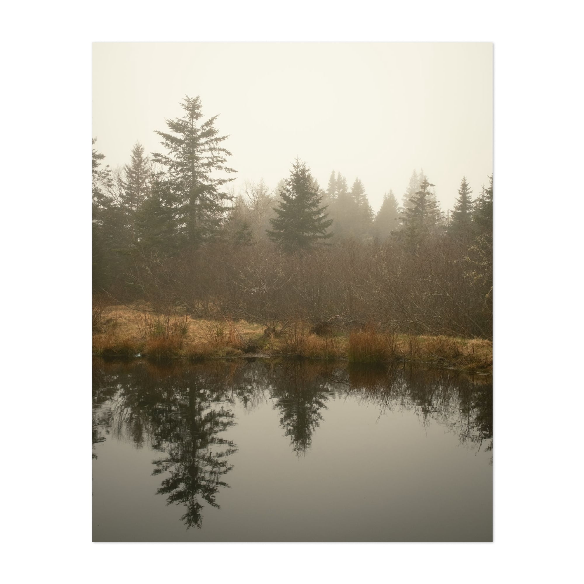 Pond on Beals Island - Beals Maine Photography Unframed Wall Art Print ...