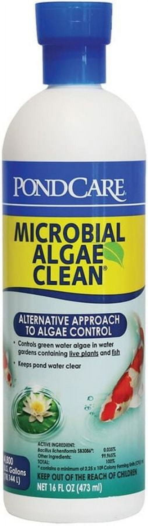 PondCare Microbial Algae Clean [Pond, Algicides & Algae Removers] 16 oz ...