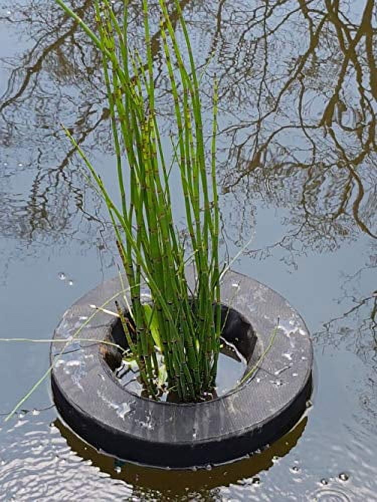 PondH2o 14" Round Floating Aquatic Water Garden Pond Planter Baskets ...