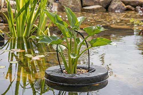 PondH2o Floating Aquatic Water Garden Pond Planter Basket, 10 Inch ...