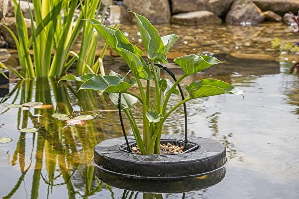 PondH2o Floating Aquatic Water Garden Pond Planter Basket, 10 Inch ...