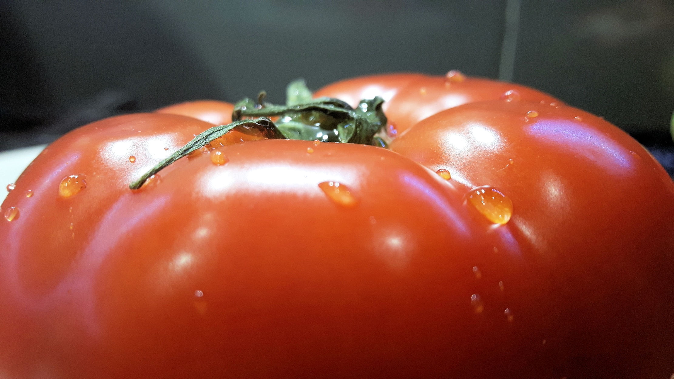 Ponderosa Pink Tomato Seeds. 200 Seeds per Pack. 1-2 Pound Fruit. 88 ...