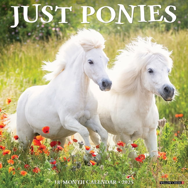 Ponies 2025 12 X 12 Wall Calendar, (Paperback) - Walmart.com