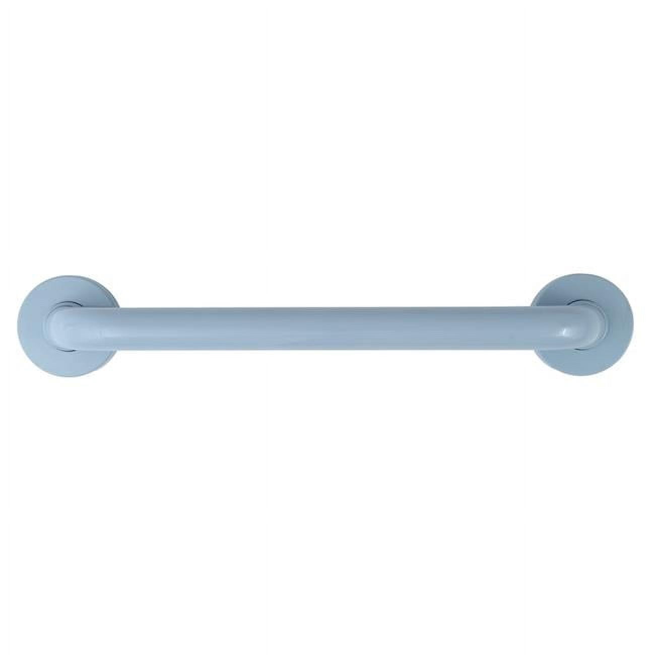 Ponte Giulio USA, Inc. G25JAS08B2 42' Light Blue PRO series grab bar ...