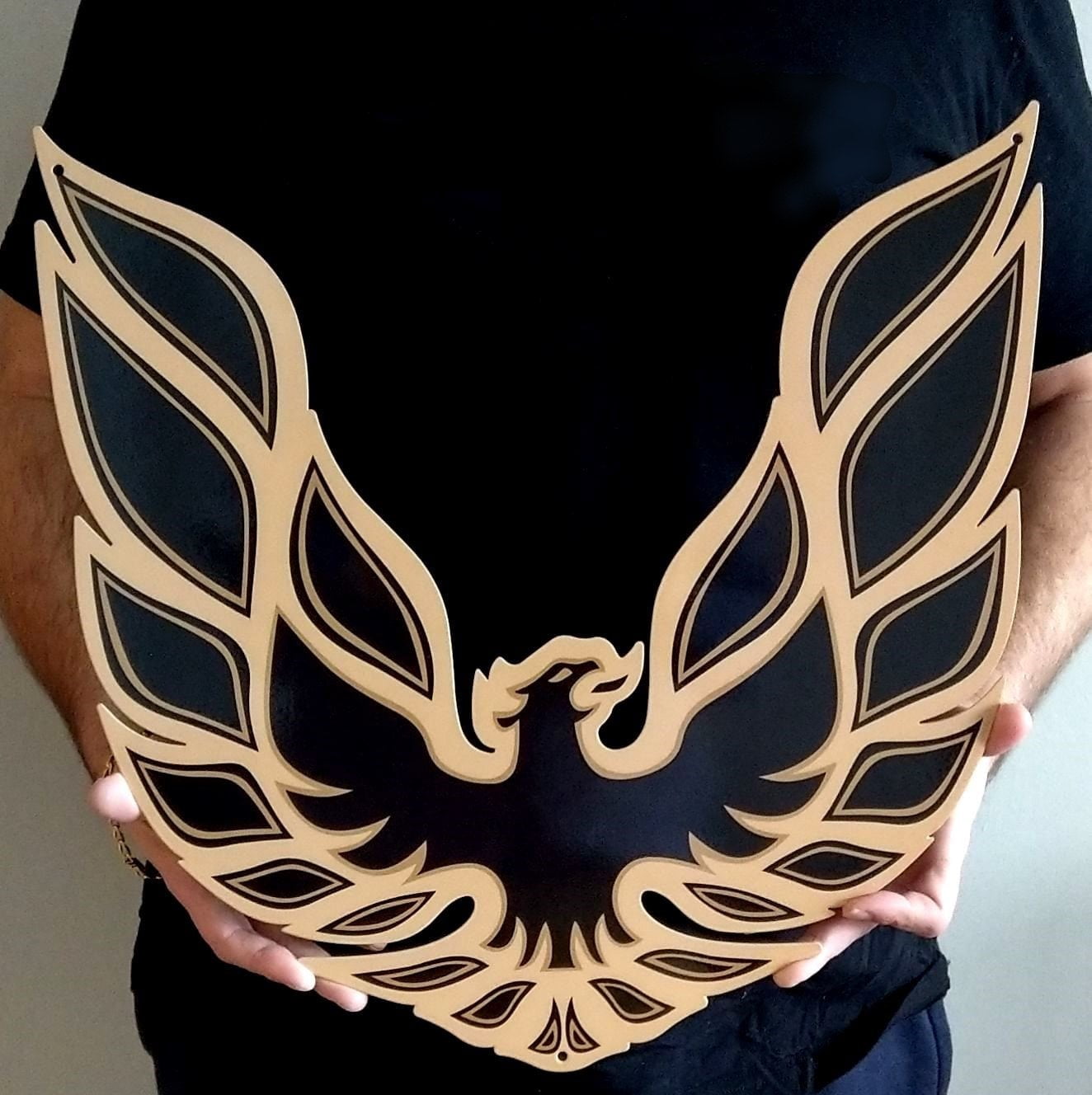 Pontiac 1976-81 Firebird / Trans Am Flat Wall Emblem / Metal Art Sign ...