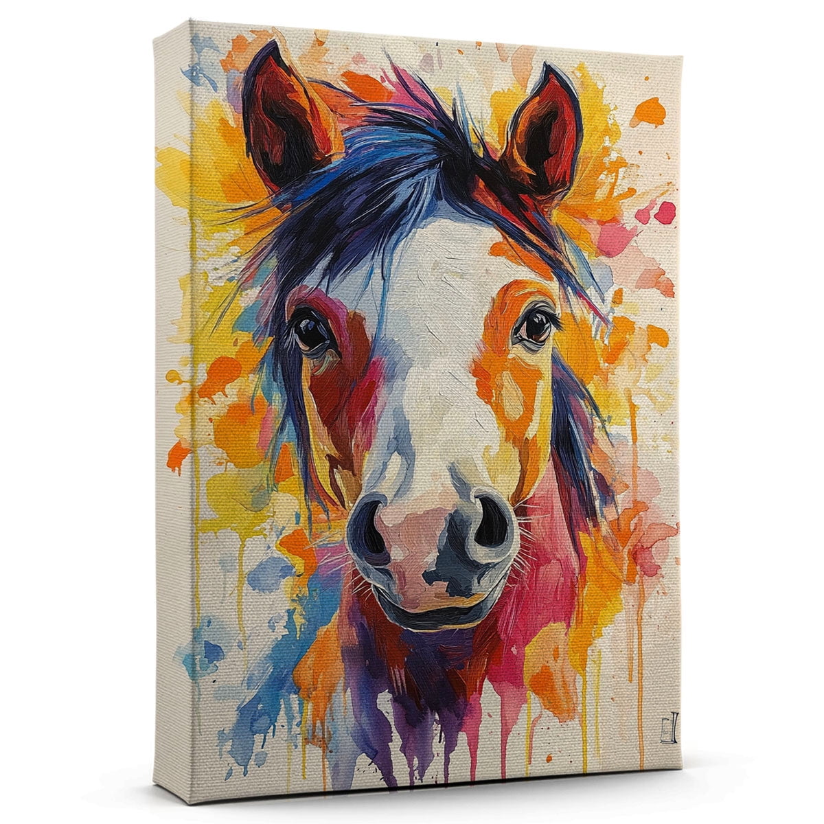 Pony Pinto Assateague Chincoteague Canvas Art Animals, Colorful Pony ...